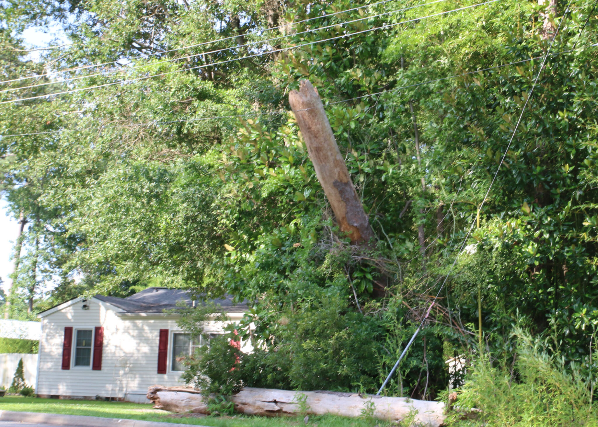 Trees on lines, damaged utility poles prompt public outcry – Duplin Journal